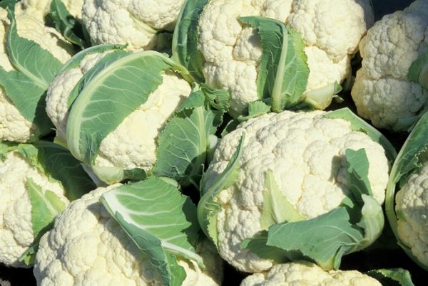 Cauliflower Prepack - Loerie Veg
