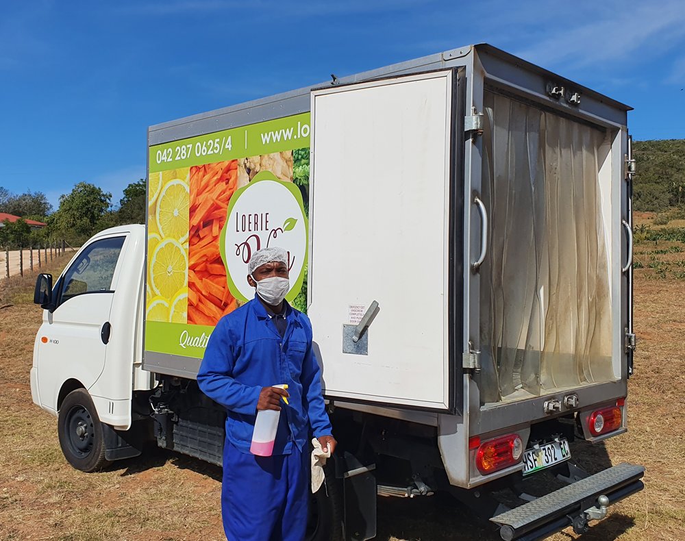 Whole Vegetables 2 - Loerie Veg